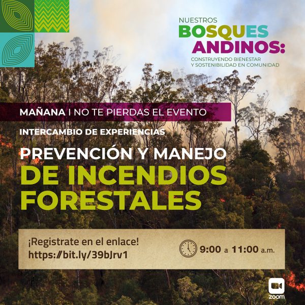 Intercambio De Experiencias Prevención Manejo Y Combate De Los